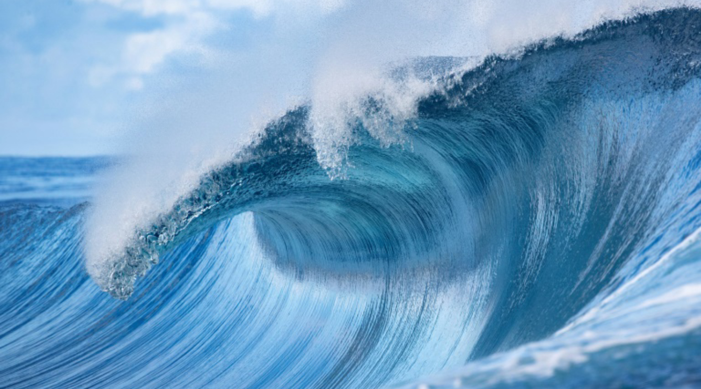 Geography, 10 interesting facts about the ocean (Any Level) | OnClass